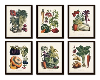 Vegetable prints | Etsy