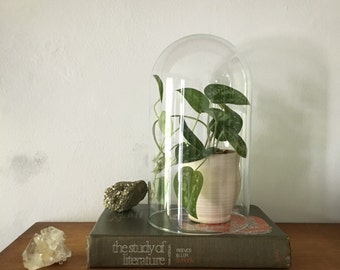 Unique specimen jar related items | Etsy