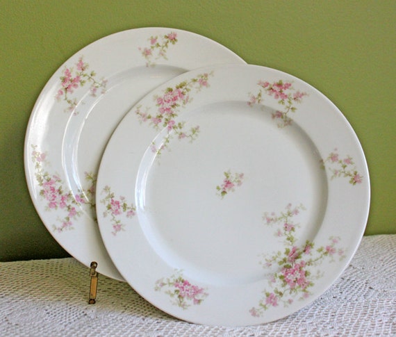 Limoges Replacement. Dinner Plate with Tiny Pink Roses. Fine