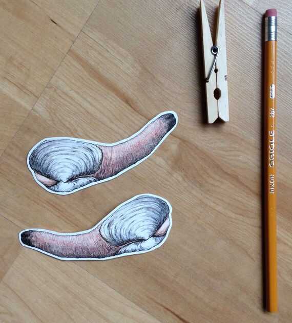 Geoduck Handmade Art Stickers