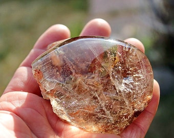 Unique madagascar palm related items | Etsy