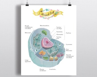 Microbiology poster | Etsy