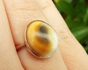 Operculum jewelry | Etsy