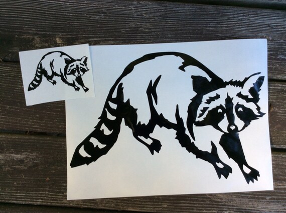 Raccoon Decal