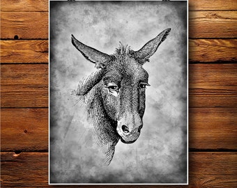 Mule illustration | Etsy