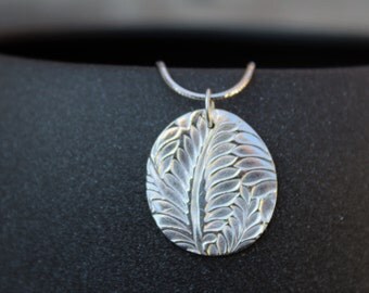 20 Tall Fernleaf Fiddleneck Seeds-1161B