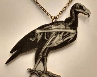 Vulture skeleton | Etsy
