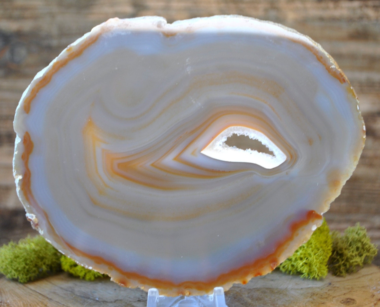 Large Natural Polished Agate Slice 1125.01