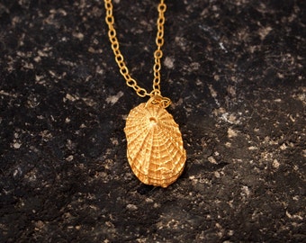 Gold shell necklace tiny shell necklace sea shell necklace