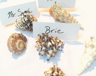 Shell table numbers | Etsy