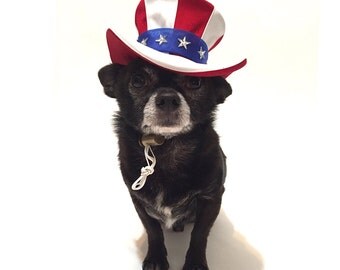 Dogs in top hats | Etsy