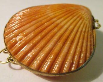 Shell coin purse | Etsy