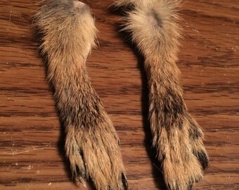 Squirrel feet | Etsy