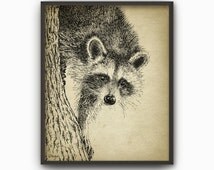 Unique raccoon drawing related items | Etsy