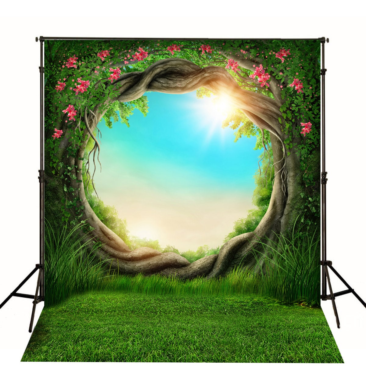 Scenic Photography Backdrops Forest meadowHollow by ArtBackground