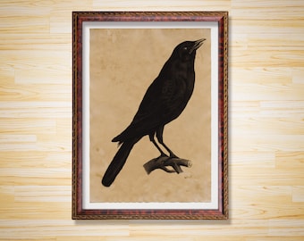 Vintage crow | Etsy
