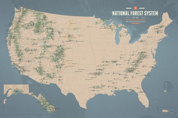 US National Forest System Map 24x36 Poster: Wilderness Edition