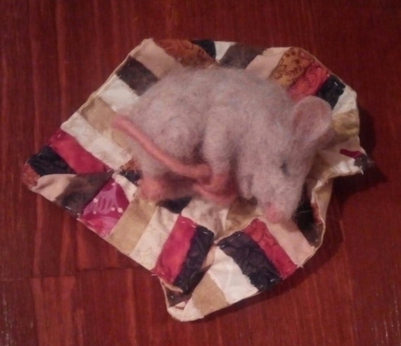 Sleepy rat on a mat