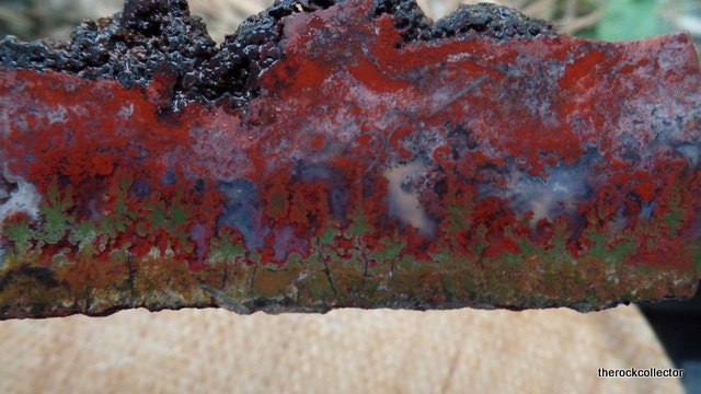 Primo Brenda Red plume Agate rough rock slice Arizona