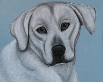 Custom pet drawing | Etsy