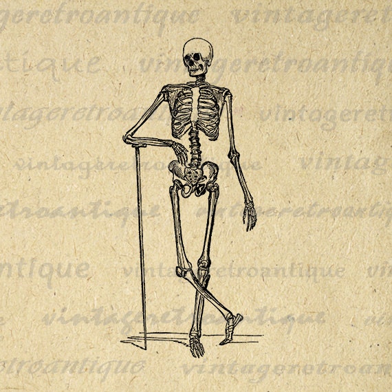 Digital Printable Skeleton Graphic Human by VintageRetroAntique