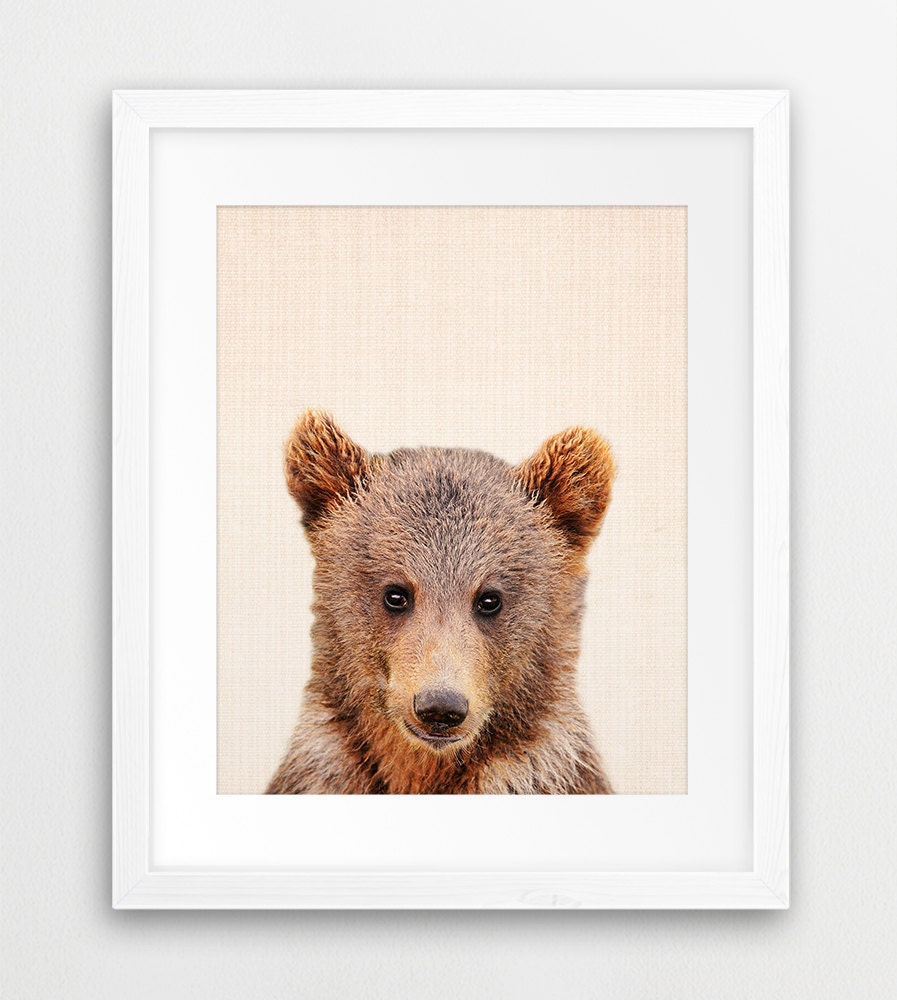 Bear Print Bear Cub Photo Woodlands Nursery Decor by zouzounioArt