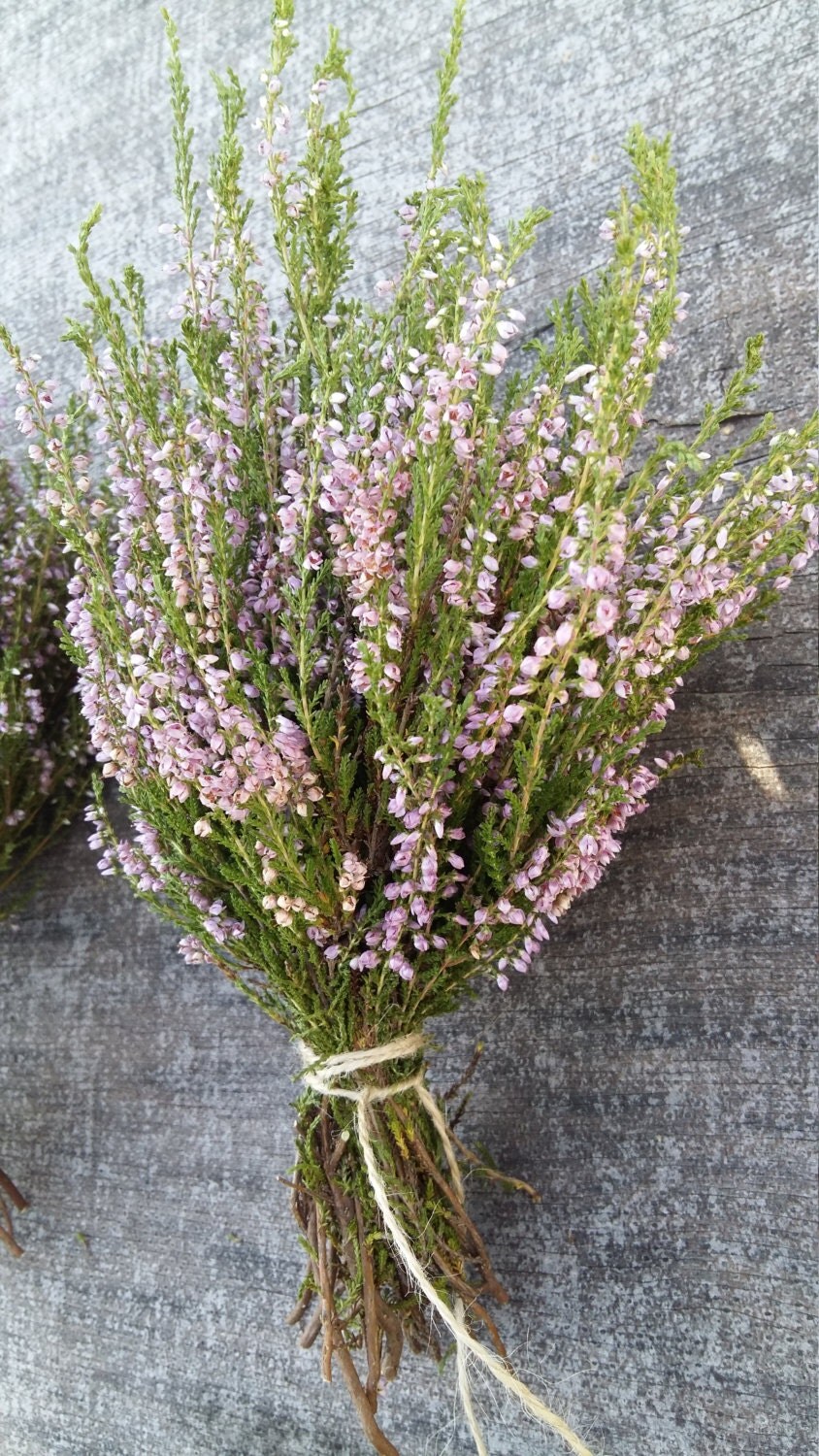 heather bouquet dried flowers purple lilac pink lavender color