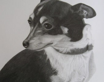 Custom pet drawing | Etsy