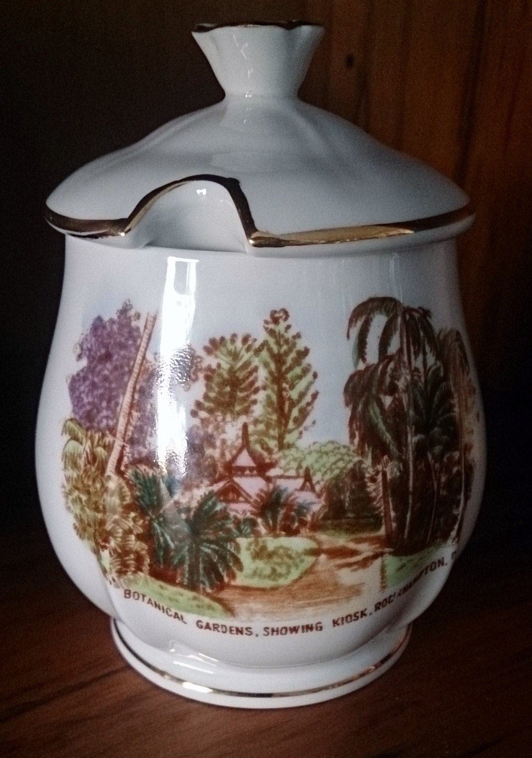 DELPHINE Bone China Made in England Sugar Bowl with Lid Rockhampton ...