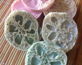 Items similar to Natural Loofah Soap, Luffa Soap, Aloe Soap, Aloe Vera ...