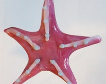 Popular items for starfish knobs on Etsy