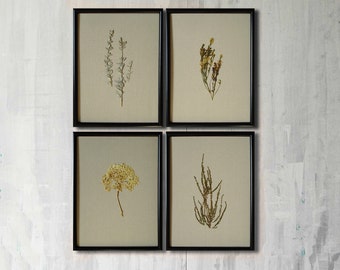 Framed herbarium | Etsy