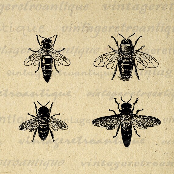 Printable Graphic Bee Collage Sheet Image by VintageRetroAntique