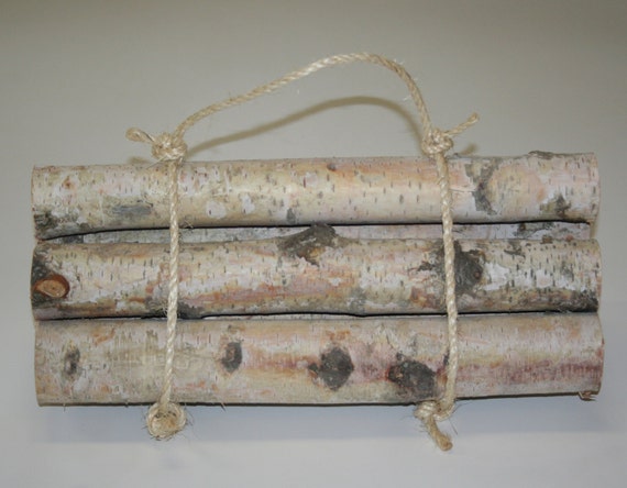 Roped Bundle of Birch Logs: 1.5 2.5 diameter x