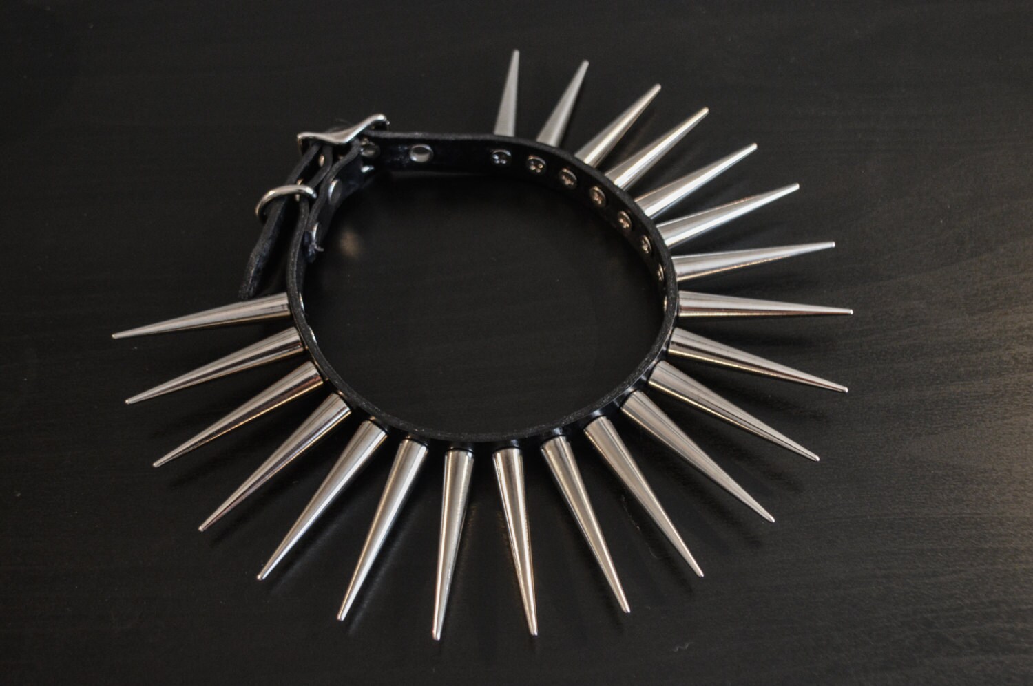 2 Inch Spike Sammy Collar.