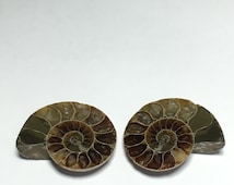 Unique fibonacci related items | Etsy