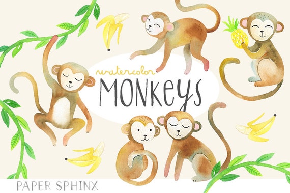 Watercolor Monkeys Clipart Baby Animals Jungle Monkey