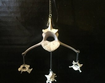 Items similar to Handmade Bone Bolo BEAVER on Black Cord Bone Tips on Etsy