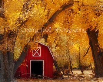 Fall Barn Autumn Barn Barn photography Old Barn