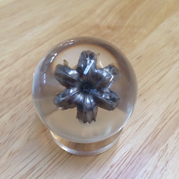 Federal 9mm HST 124 Grain P Bullet Encased In Resin Sphere