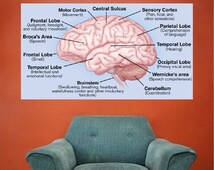 Popular items for brain art on Etsy