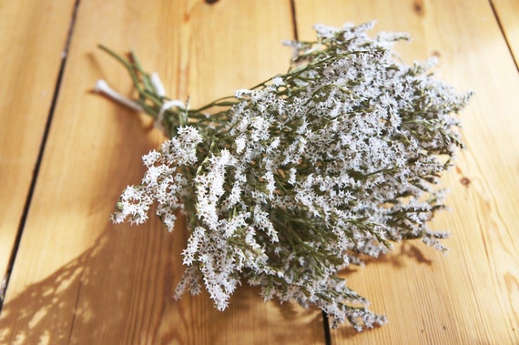 German statice statice bouquet Preserved statice for