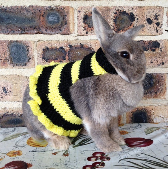 Items similar to Rabbit sweater, pet rabbit clothes, pet bunny black ...