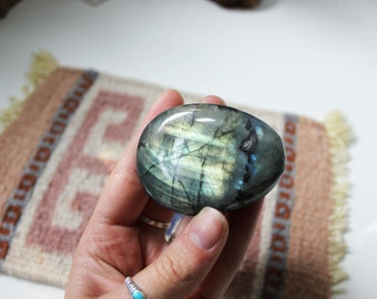 Unique madagascar palm related items | Etsy