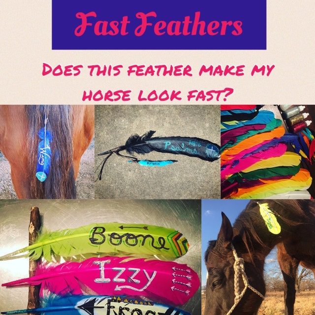 Hand Painted feathers for you and your horse by FastFeathers