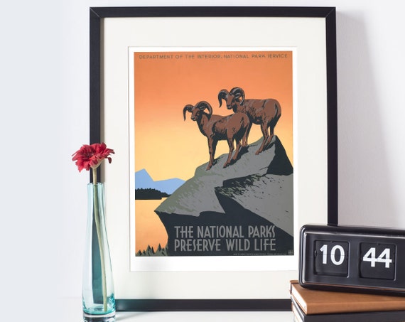 National Parks Preserve Wild Life Vintage poster vintage