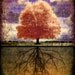 Tree Of Life. Tree and Roots. Clouds. Original Digital
