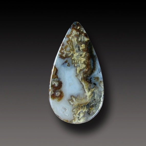 Graveyard Point Plume Agate Cabochon Cab