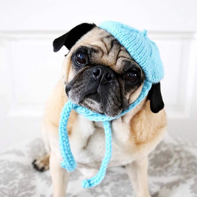 All You Need is Pug: Dog Hats Pug Hats and by AllYouNeedIsPugShop