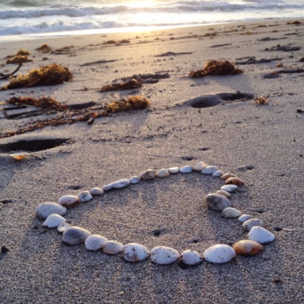 Beach and Ocean Themed Gifts and Jewelry by SeaShellsCreations